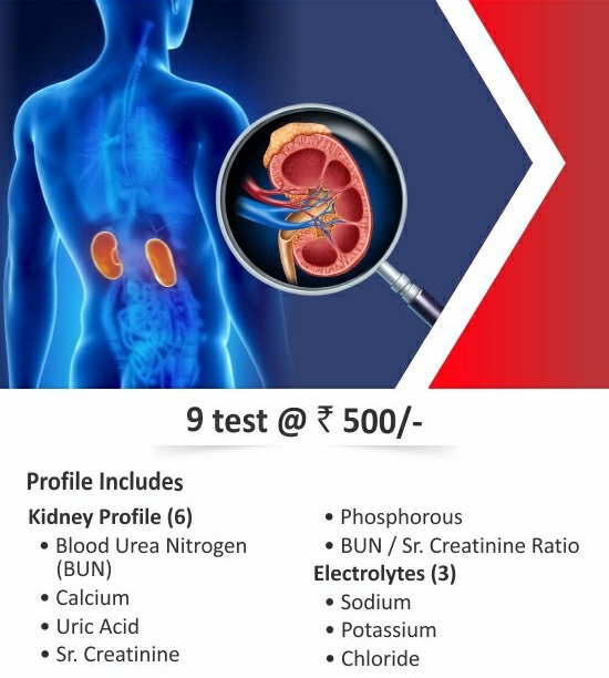 Full Body Check service in Odisha | Ultrasound check in Odisha